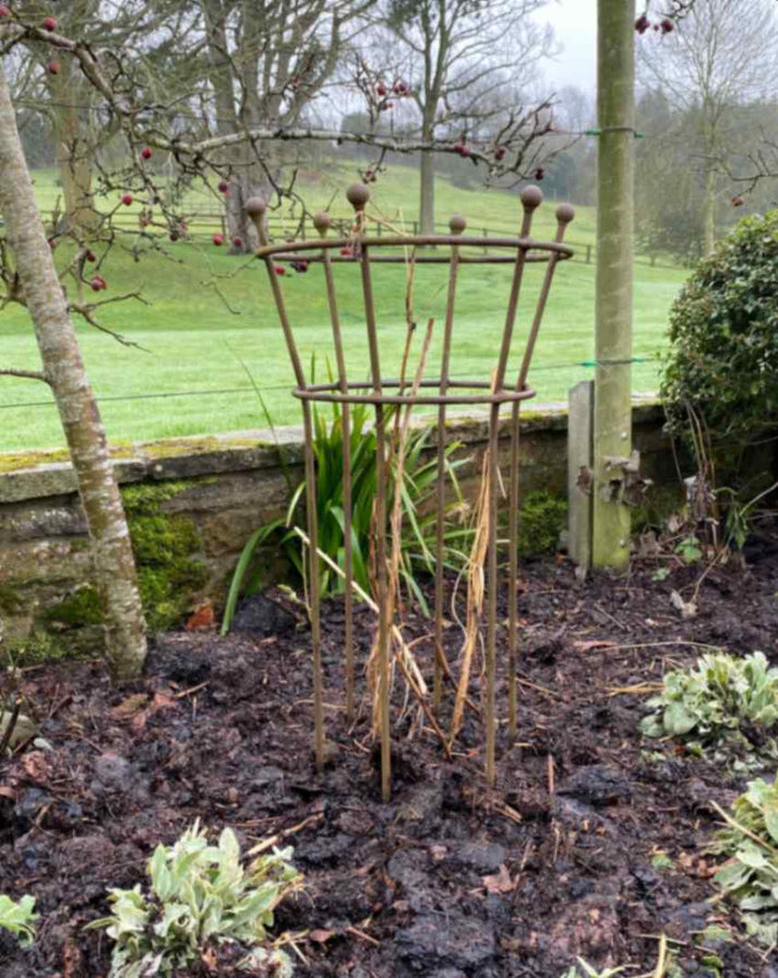 Tall Peony Support For Garden | Muntons